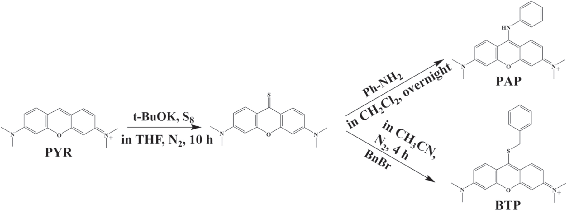 Pyronin Derivatives as Efficient Electrochemiluminescence Emitters in ...