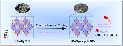 Lithium Electrochemical Tuning Engineering in an Aqueous System of ...