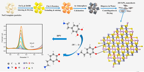 Electrochemical Sensor Based on Co-Doped FePS3 Nanosheets for Ultra ...