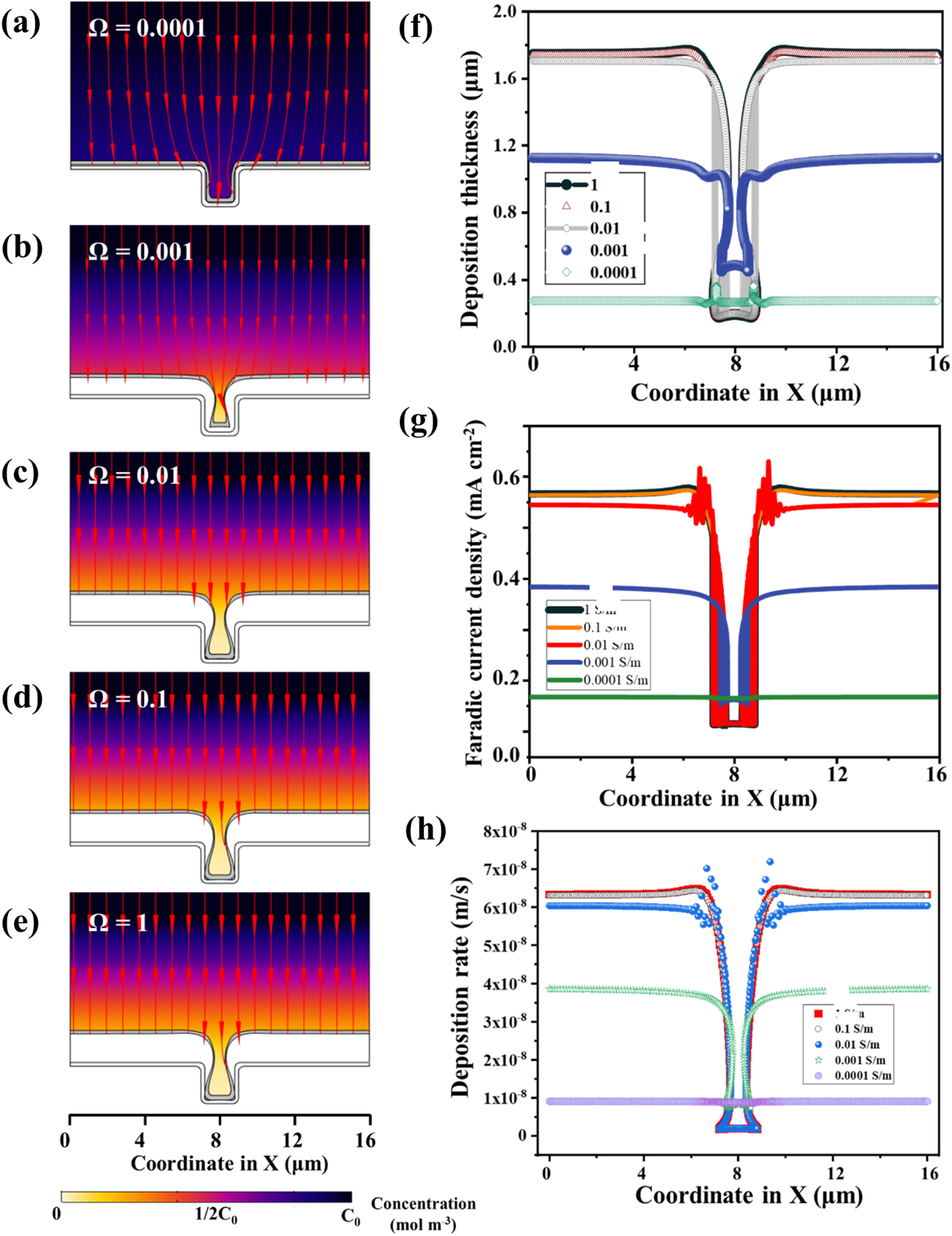 Understanding Charge-Transfer and Mass-Transfer Effects on Dendrite ...