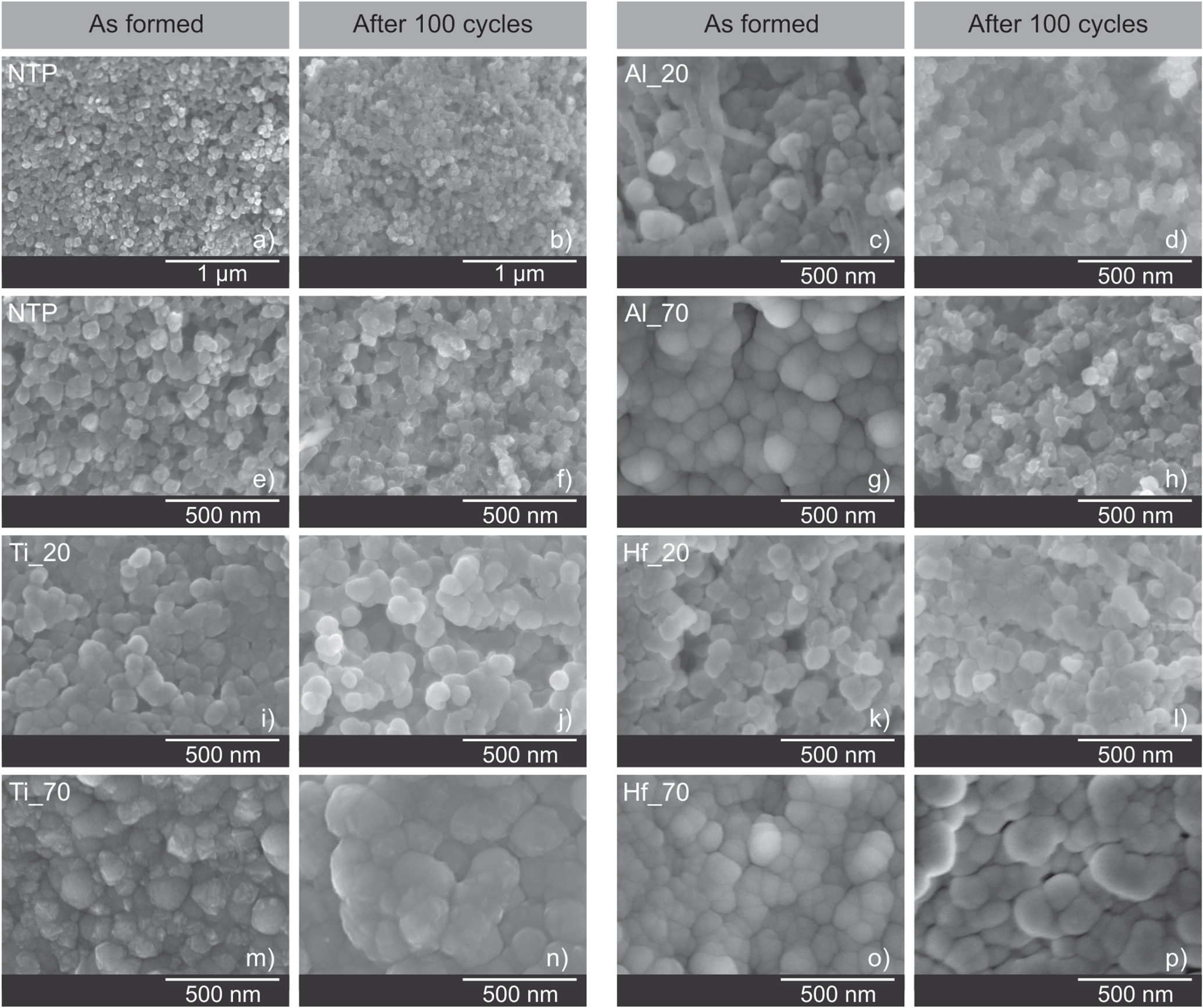 Engineering of Conformal Electrode Coatings by Atomic Layer Deposition ...