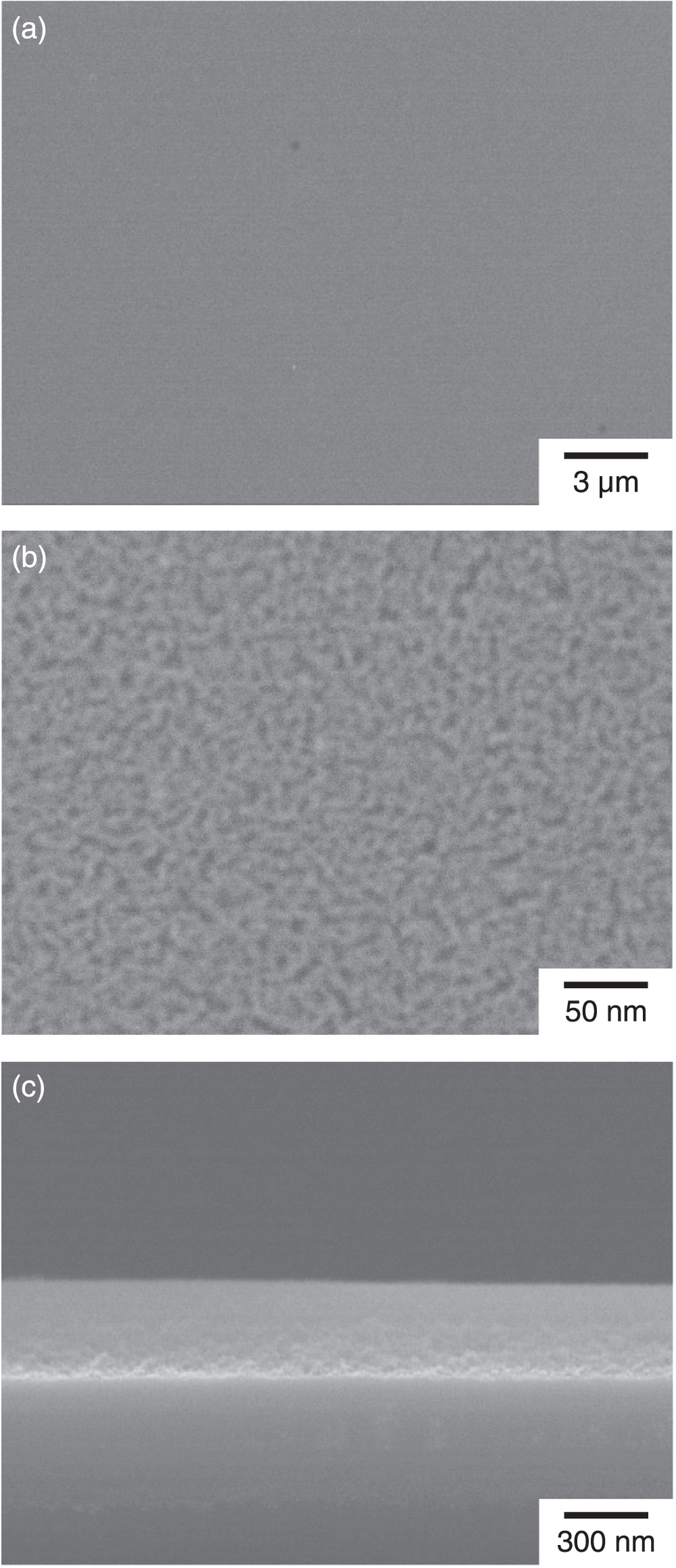 Metal-Assisted Etching of n-Type and p-Type Silicon Using Patterned ...