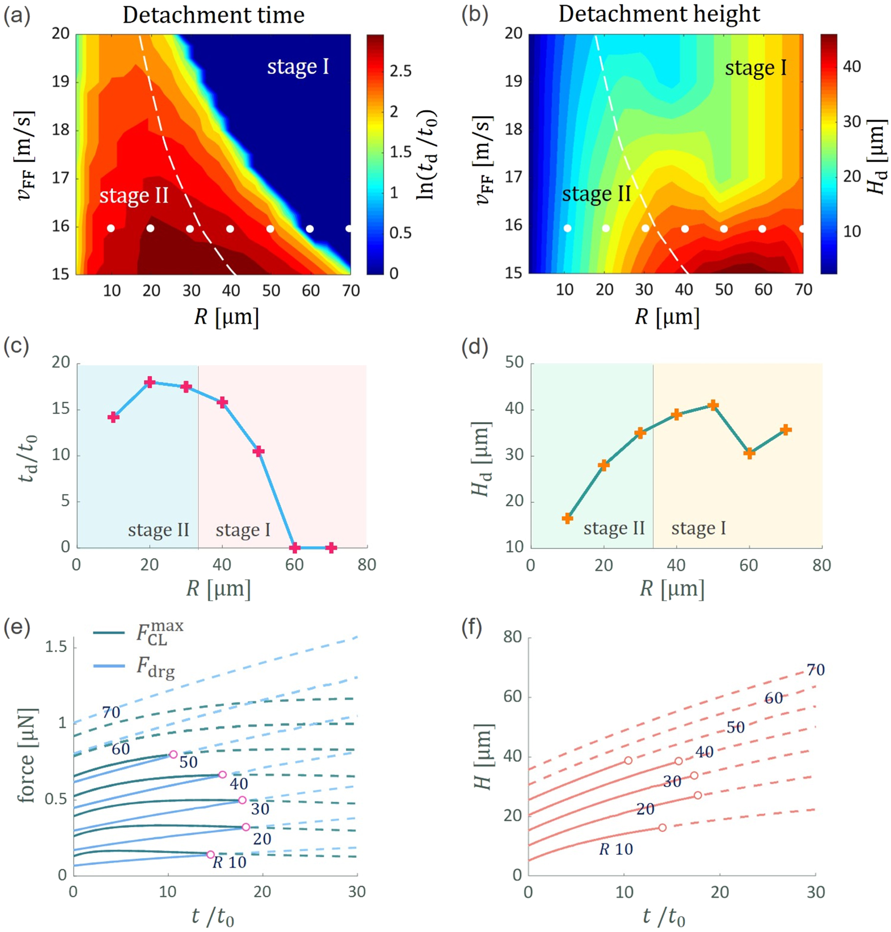 Droplet Evolution from a Single Hydrophobic Pore in the Diffusion Media ...