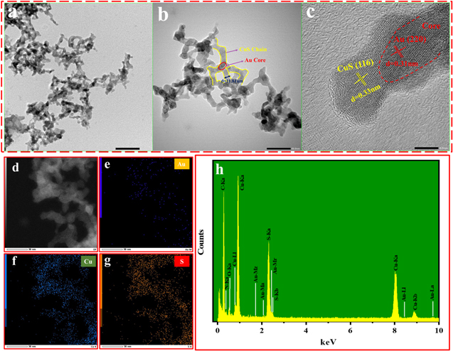 Au-wrapped CuS-Interlaced Chain Structure for Ultrafast Response and ...