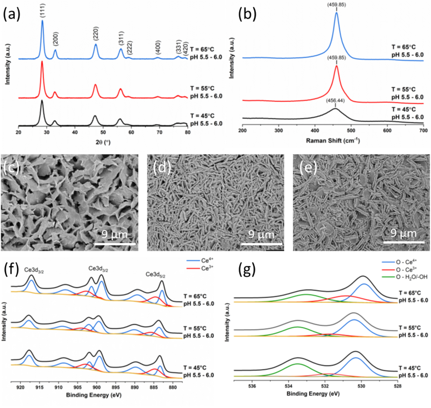Tailored Fabrication of Defect-Rich Ion Implanted CeO2-x Nanoflakes for ...