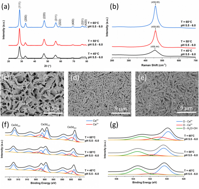 Tailored Fabrication of Defect-Rich Ion Implanted CeO2-x Nanoflakes for ...