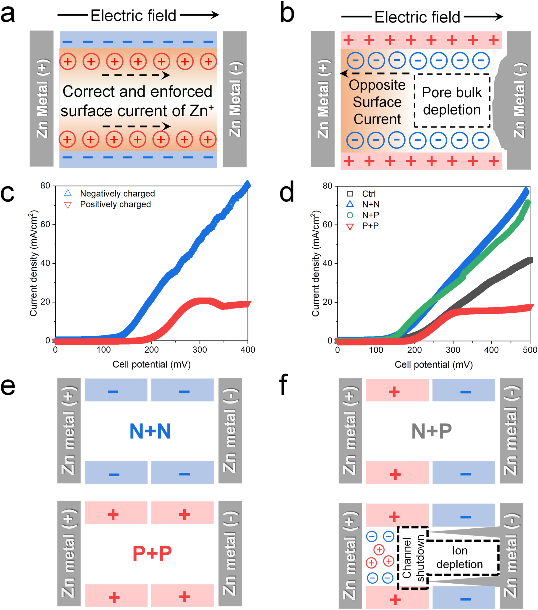A Bipolar Separator for Autonomous Suppression of Dendrite Penetration ...