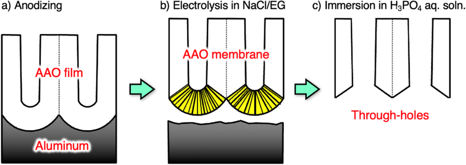 Electrochemical Separation of Porous Anodic Aluminum Oxide with Thick ...