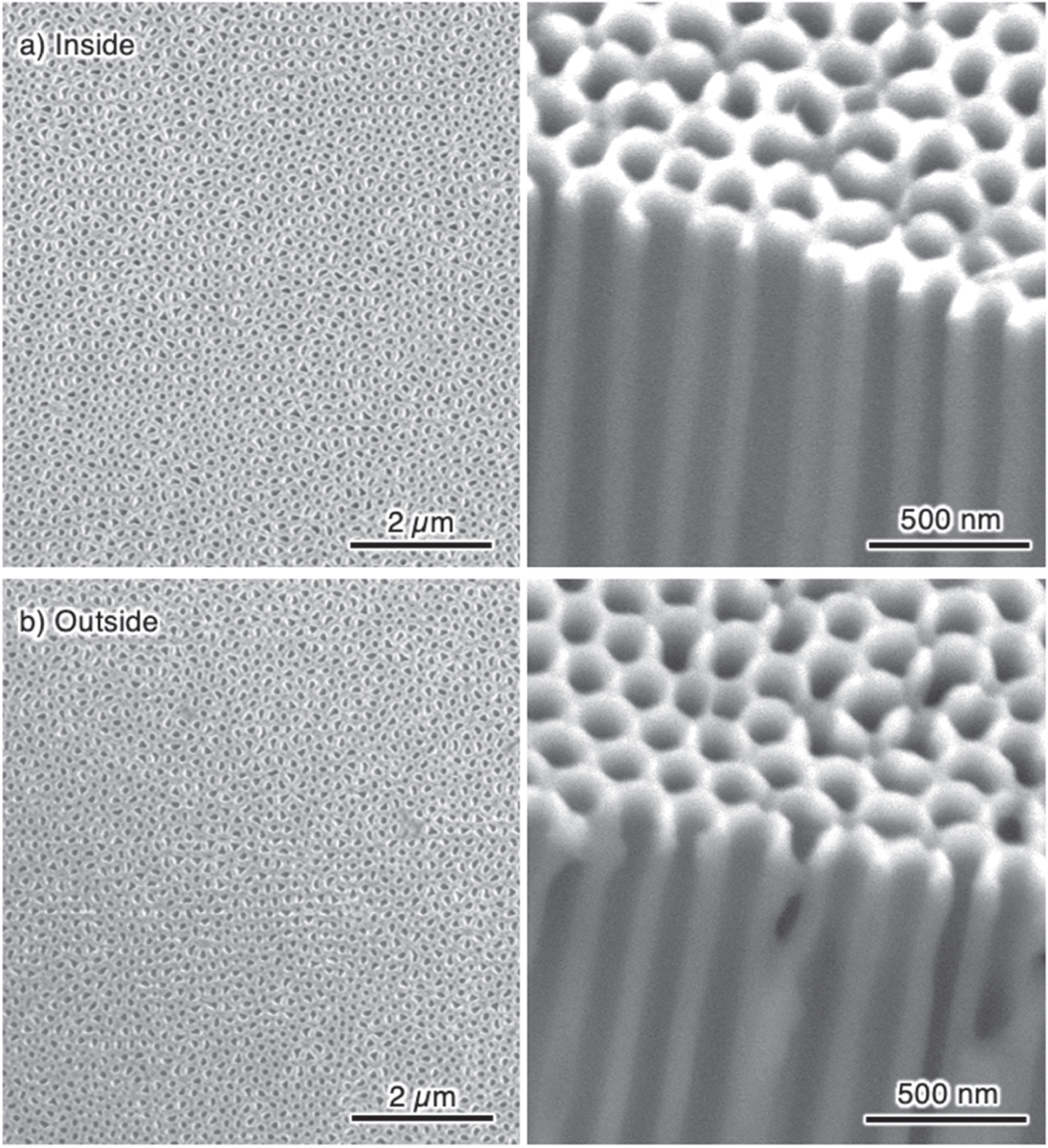 Electrochemical Separation of Porous Anodic Aluminum Oxide with Thick ...