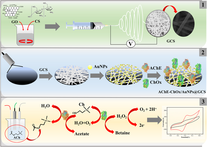 An Acetylcholine Electrochemical Biosensor Based on Bi-Enzyme ...