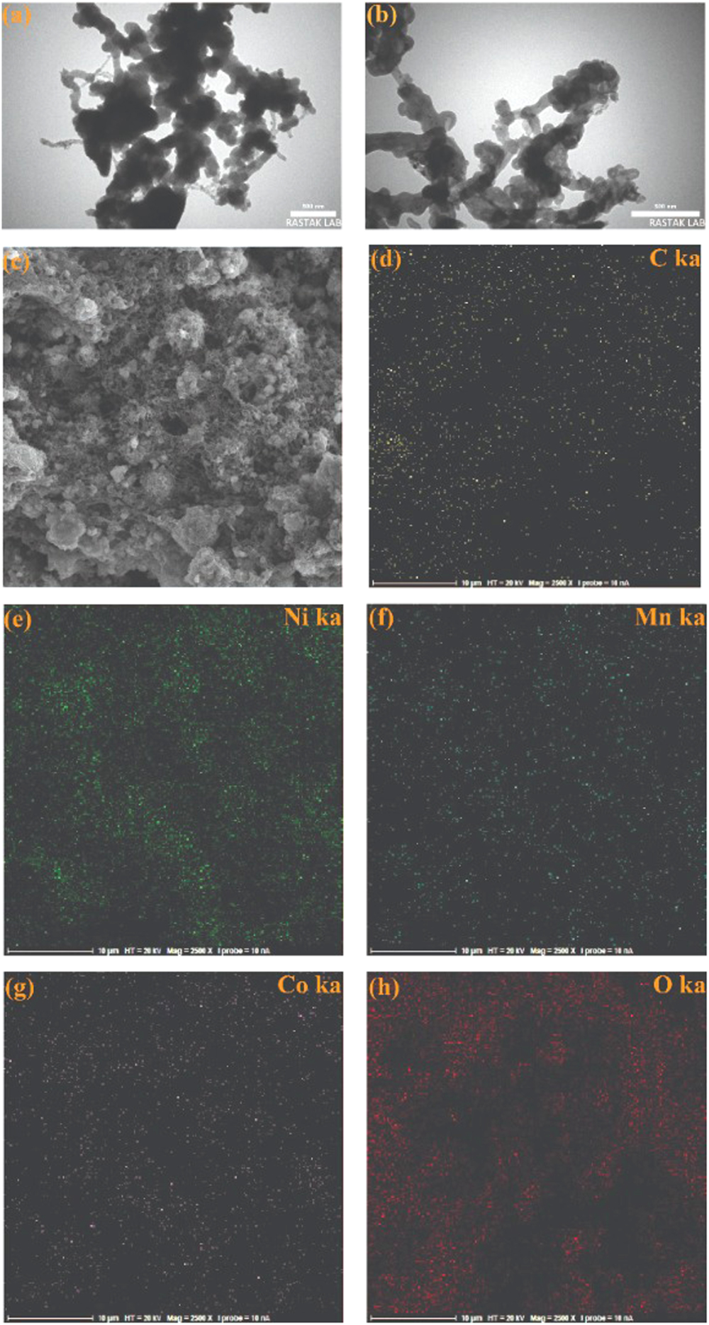 Binder-Free LiNi0.8Mn0.1Co0.1O2/Multi-Walled Carbon Nanotube Prepared by One-Step ...