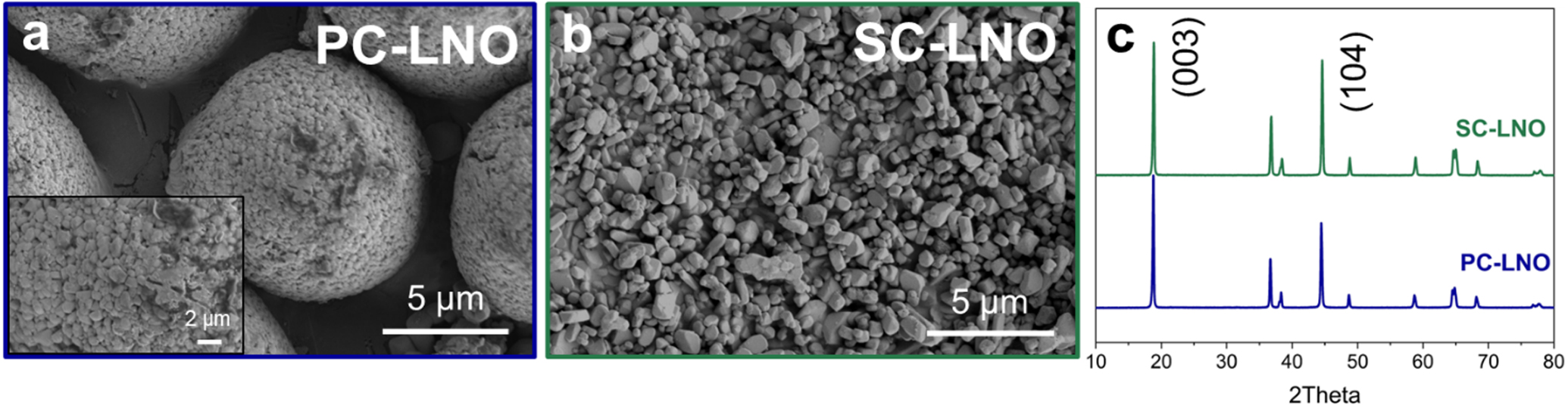 Influence of Single-Crystalline Morphology on the Electrochemical ...