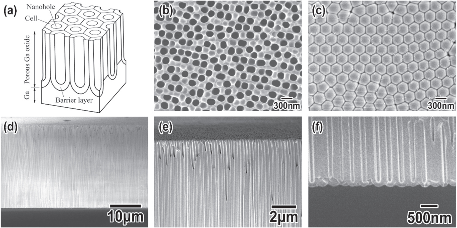 Element Distribution in Porous Ga Oxide Obtained by Anodizing Ga in ...