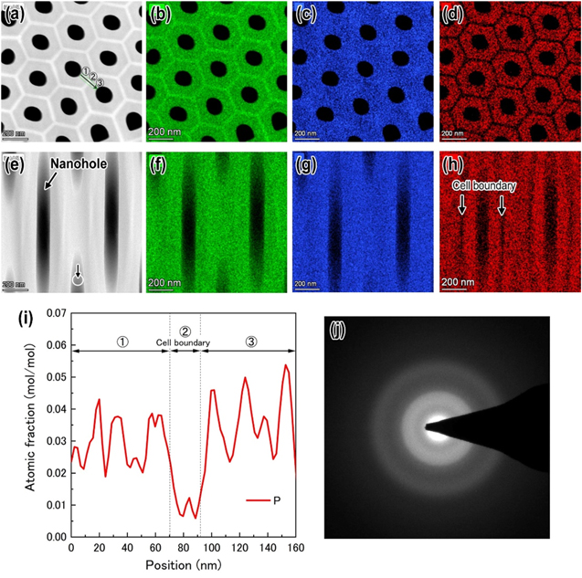 Element Distribution in Porous Ga Oxide Obtained by Anodizing Ga in ...