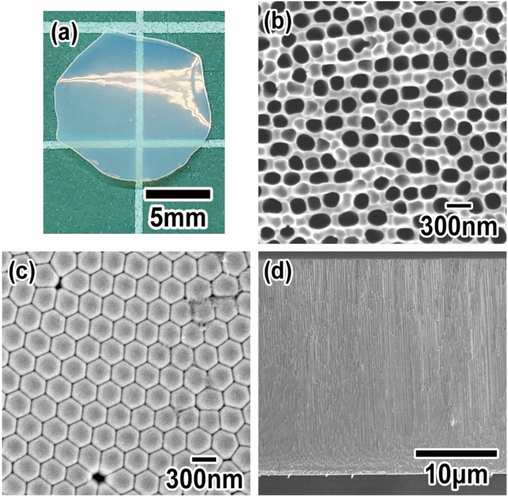 Element Distribution in Porous Ga Oxide Obtained by Anodizing Ga in ...