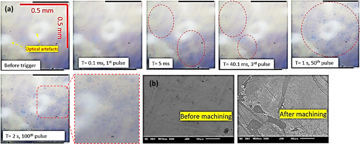 Gas Bubble Evolution during ECM Process can be suppressed by Pulse ...