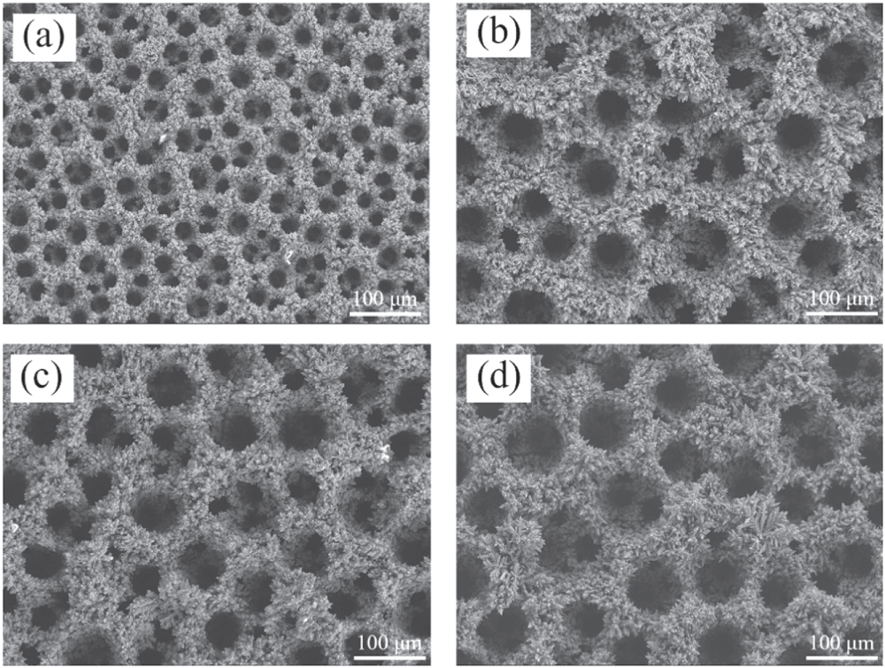 Microstructure and Properties of Porous Copper Foils with High Specific Surface Area Prepared by ...