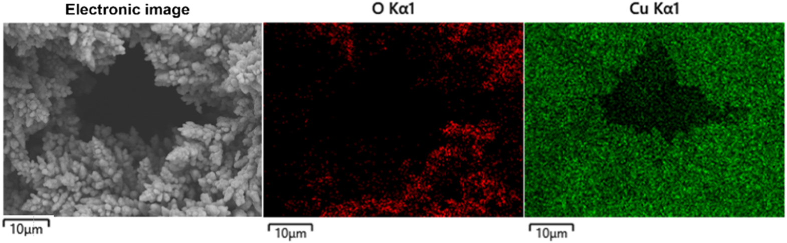 Microstructure and Properties of Porous Copper Foils with High Specific Surface Area Prepared by ...
