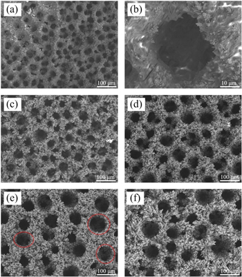 Microstructure and Properties of Porous Copper Foils with High Specific Surface Area Prepared by ...