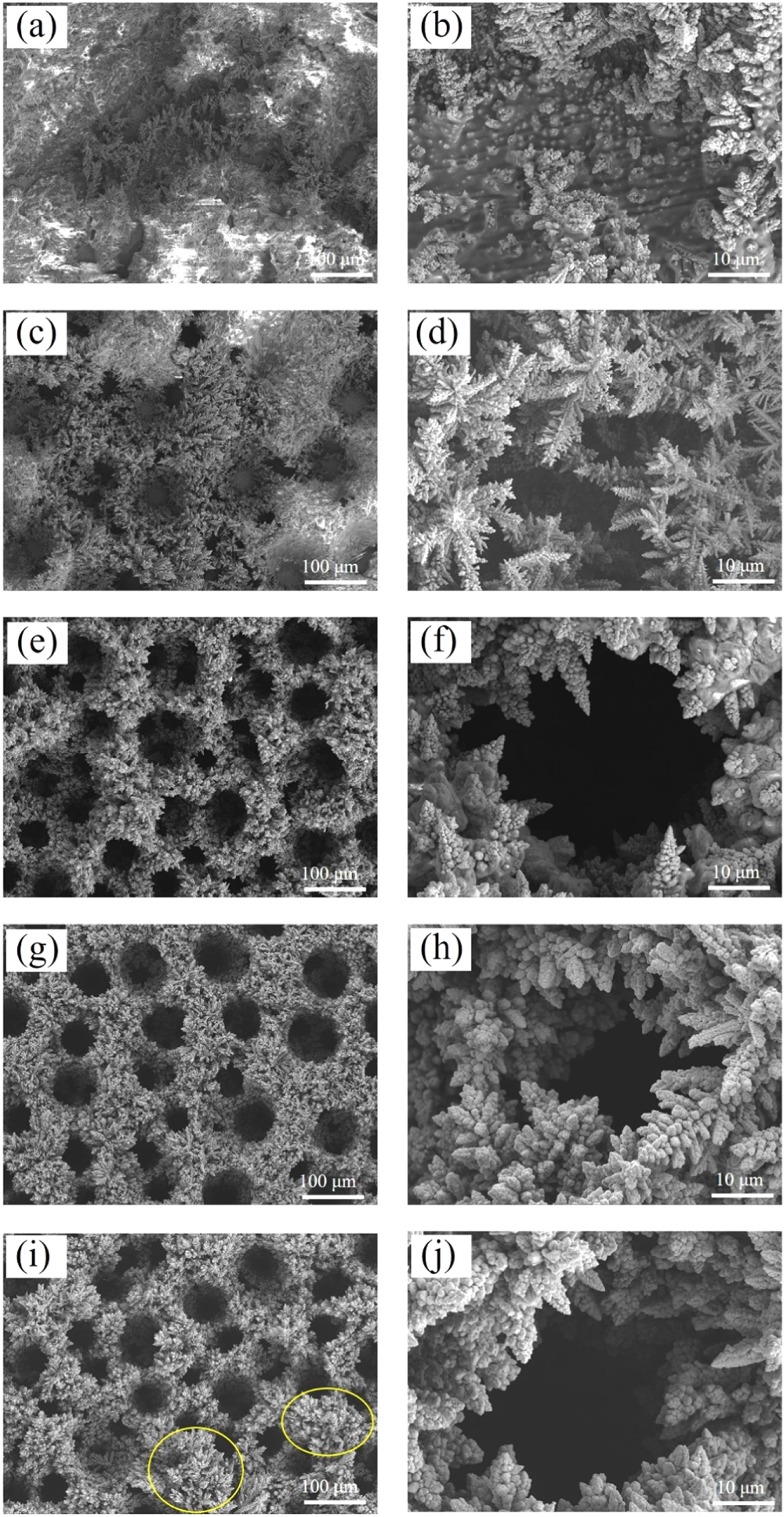Microstructure and Properties of Porous Copper Foils with High Specific Surface Area Prepared by ...