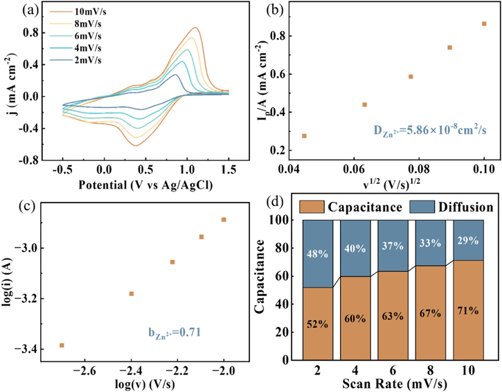 In Situ Raman Observation of Zinc-Induced Structural Dynamics and ...