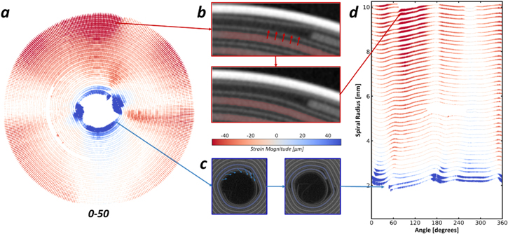 Tracking the Lifecycle of a 21700 Cell: A 4D Tomography and Digital ...