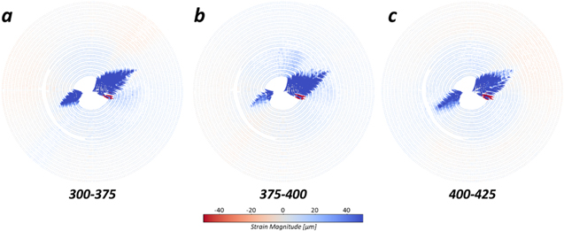 Tracking the Lifecycle of a 21700 Cell: A 4D Tomography and Digital ...