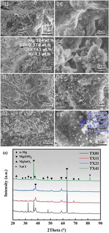 Effect of Sn/Ca Mass Ratio on the Second Phase, Corrosion Behavior and ...