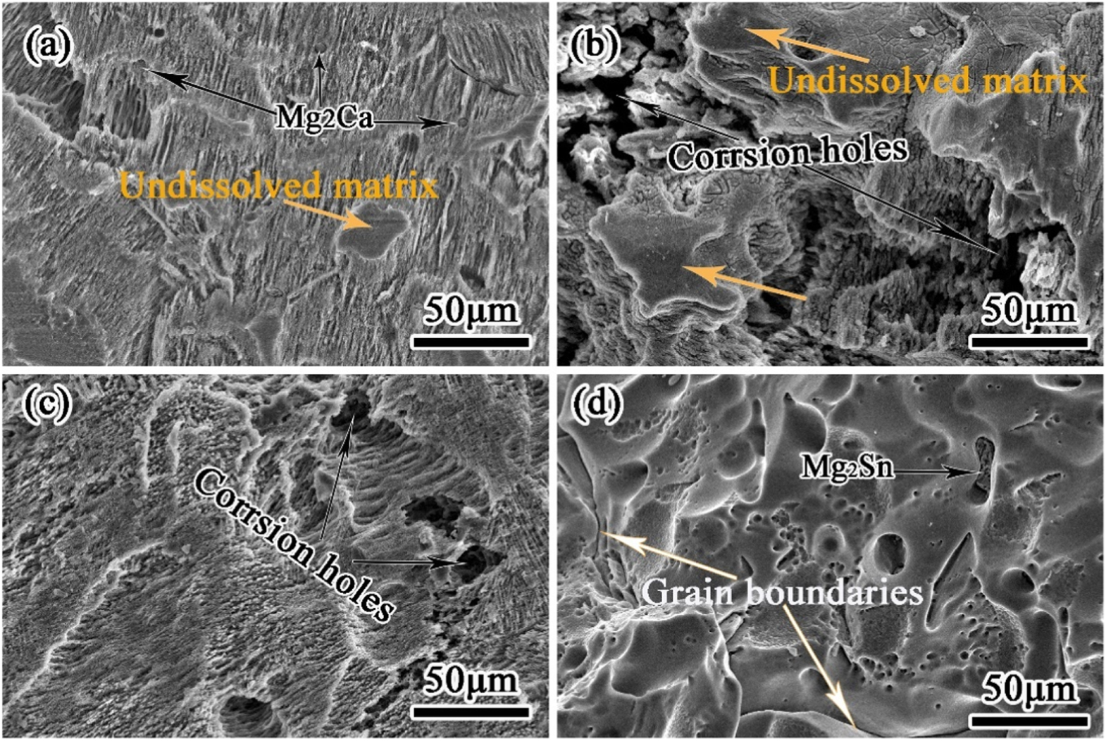 Effect of Sn/Ca Mass Ratio on the Second Phase, Corrosion Behavior and ...