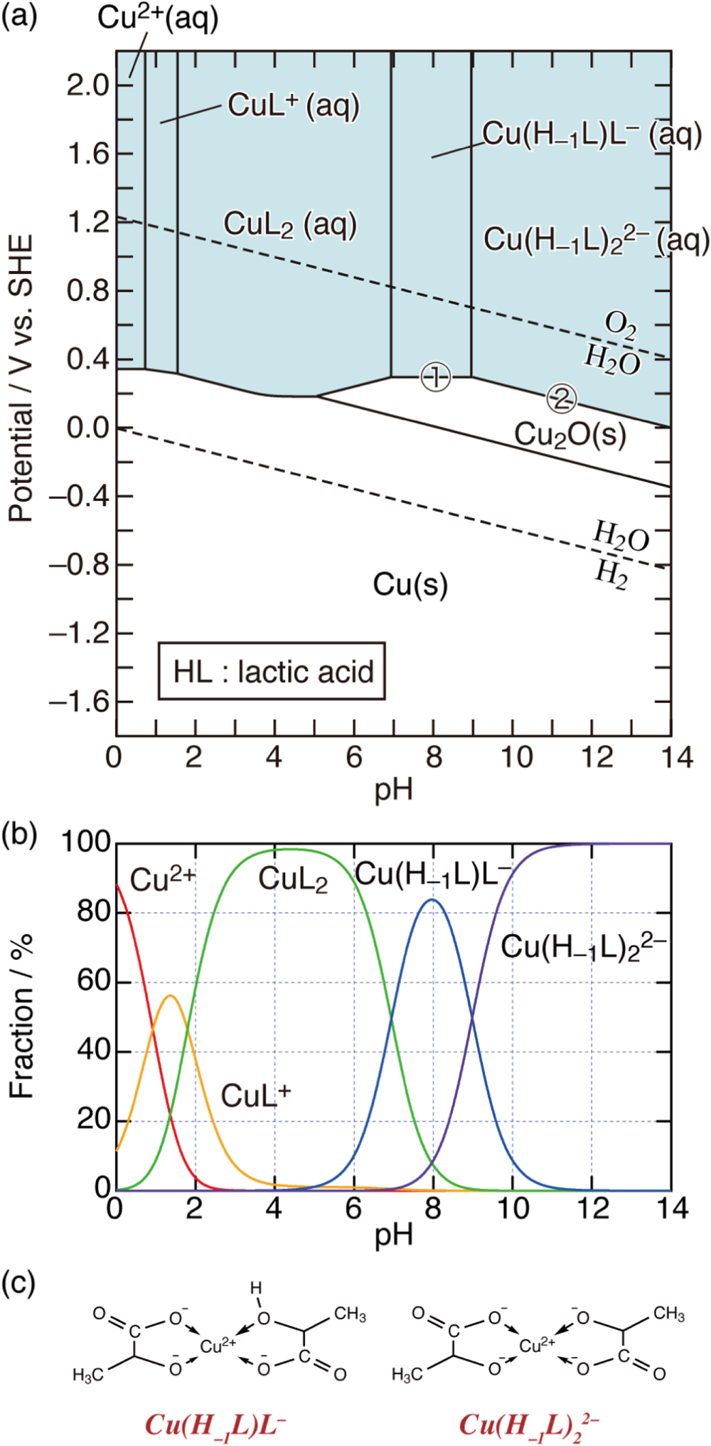 Relationship between Copper(II)-Lactate Complexes and Cu2O ...