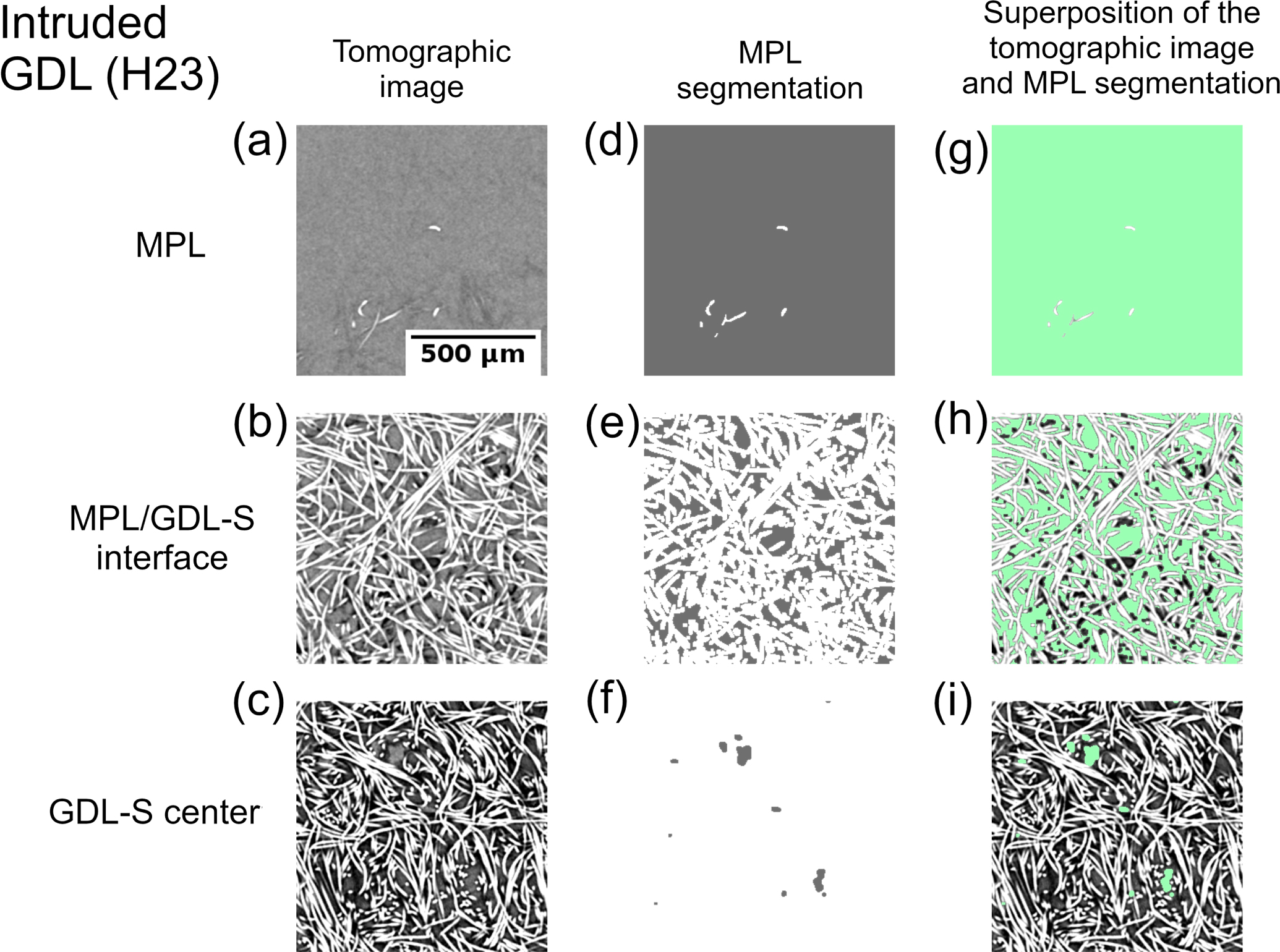 Analysis of the MPL/GDL Interface: Impact of MPL Intrusion into the GDL Substrate - IOPscience