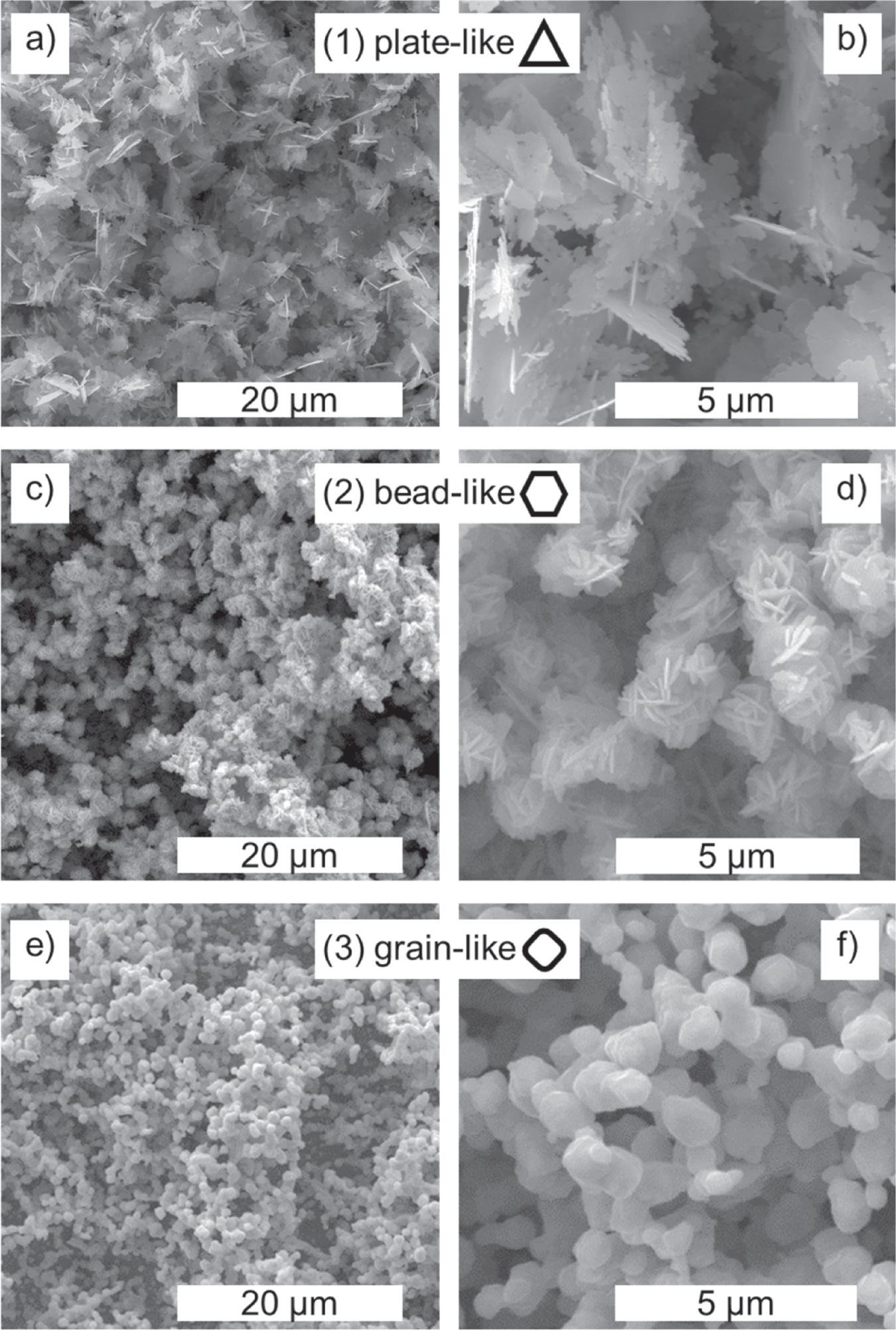 Effects of Synthesized Silver Nanoplate Structures on the ...