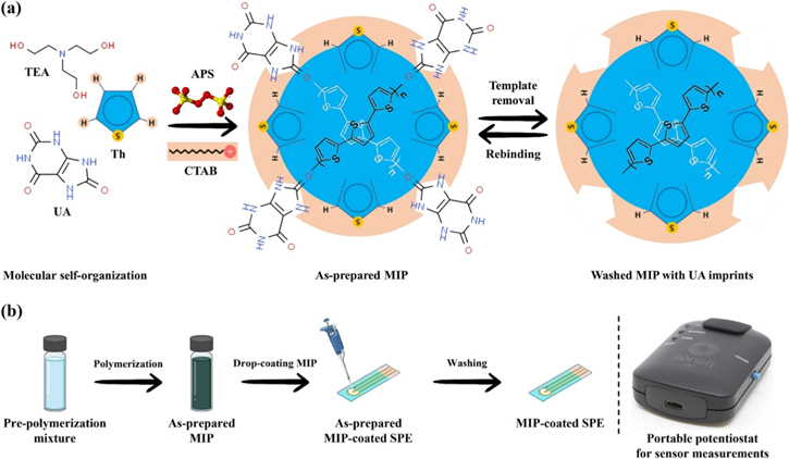 Non-Enzymatic Electrochemical Sensors for Accurate and Accessible Uric ...
