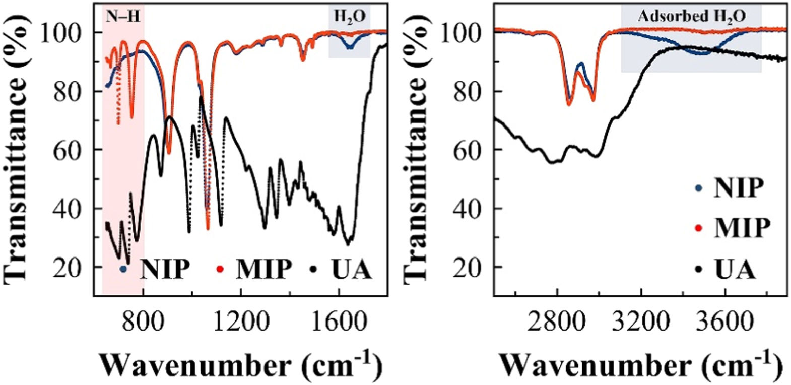 Non-Enzymatic Electrochemical Sensors for Accurate and Accessible Uric ...
