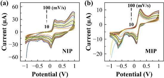 Non-Enzymatic Electrochemical Sensors for Accurate and Accessible Uric ...
