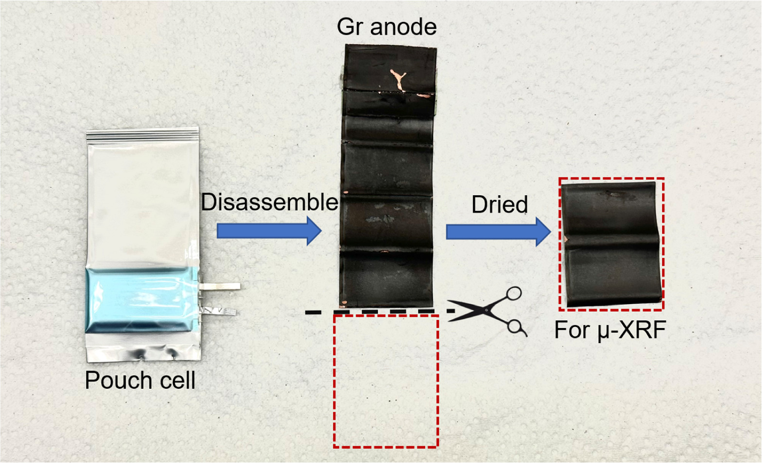 Transition Metal Dissolution from Single Crystal Li[Ni1−x−yMnxCoy]O2 ...