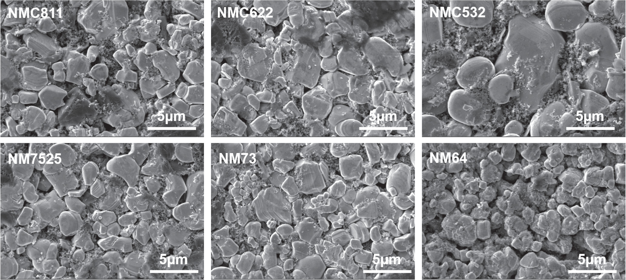 Transition Metal Dissolution from Single Crystal Li[Ni1−x−yMnxCoy]O2 ...