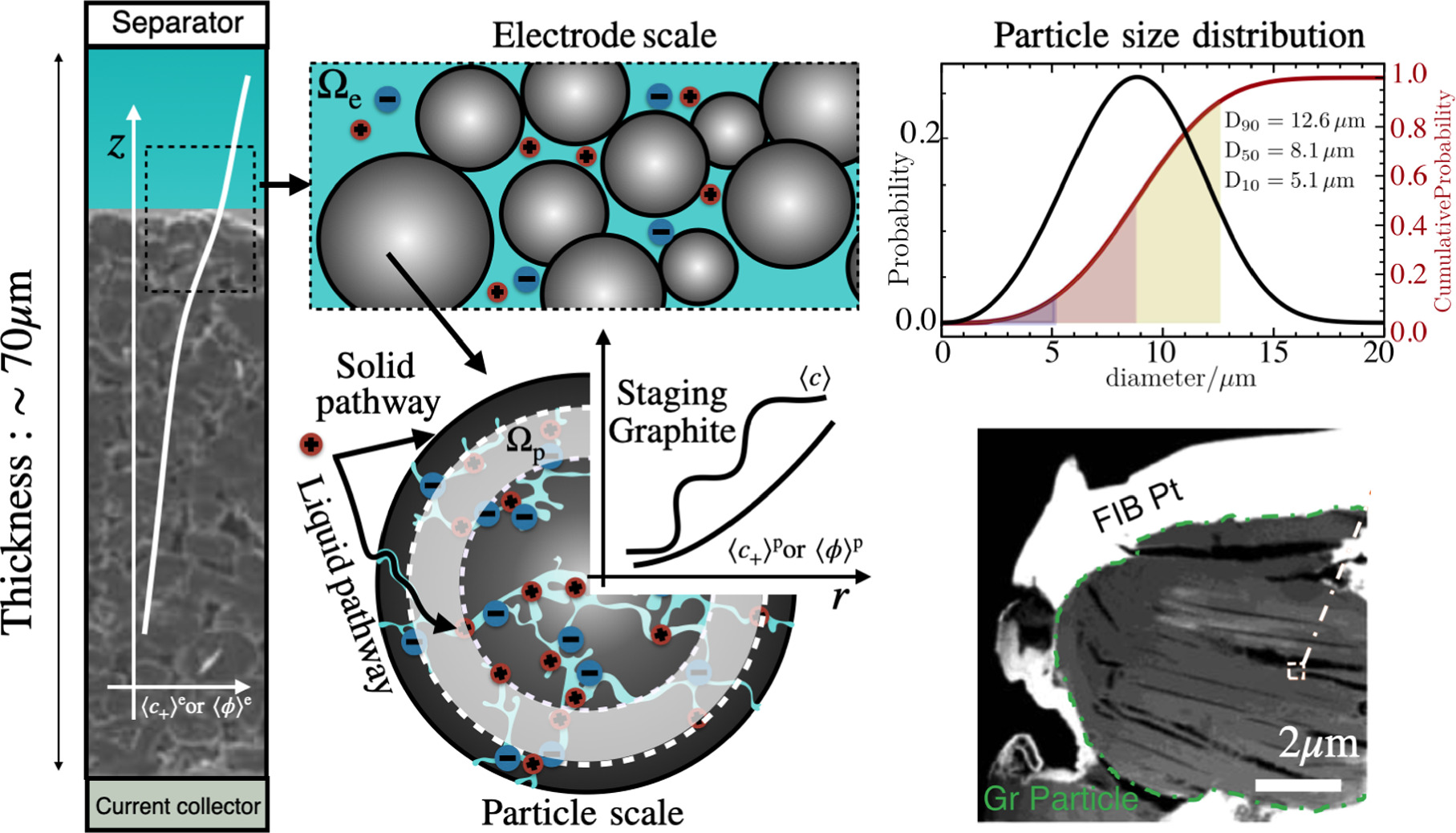 Modeling Lithium Plating Onset on Porous Graphite Electrodes Under Fast Charging with ...