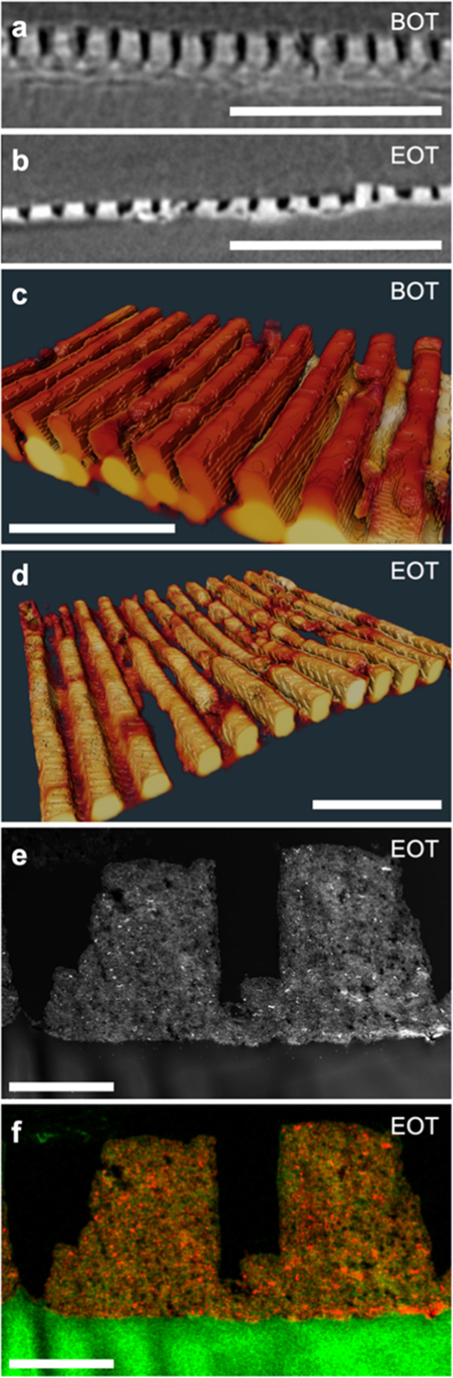 Effect Of Engineered Cracks In Catalyst Layers On Pemfc Catalyst Layer Durability Iopscience