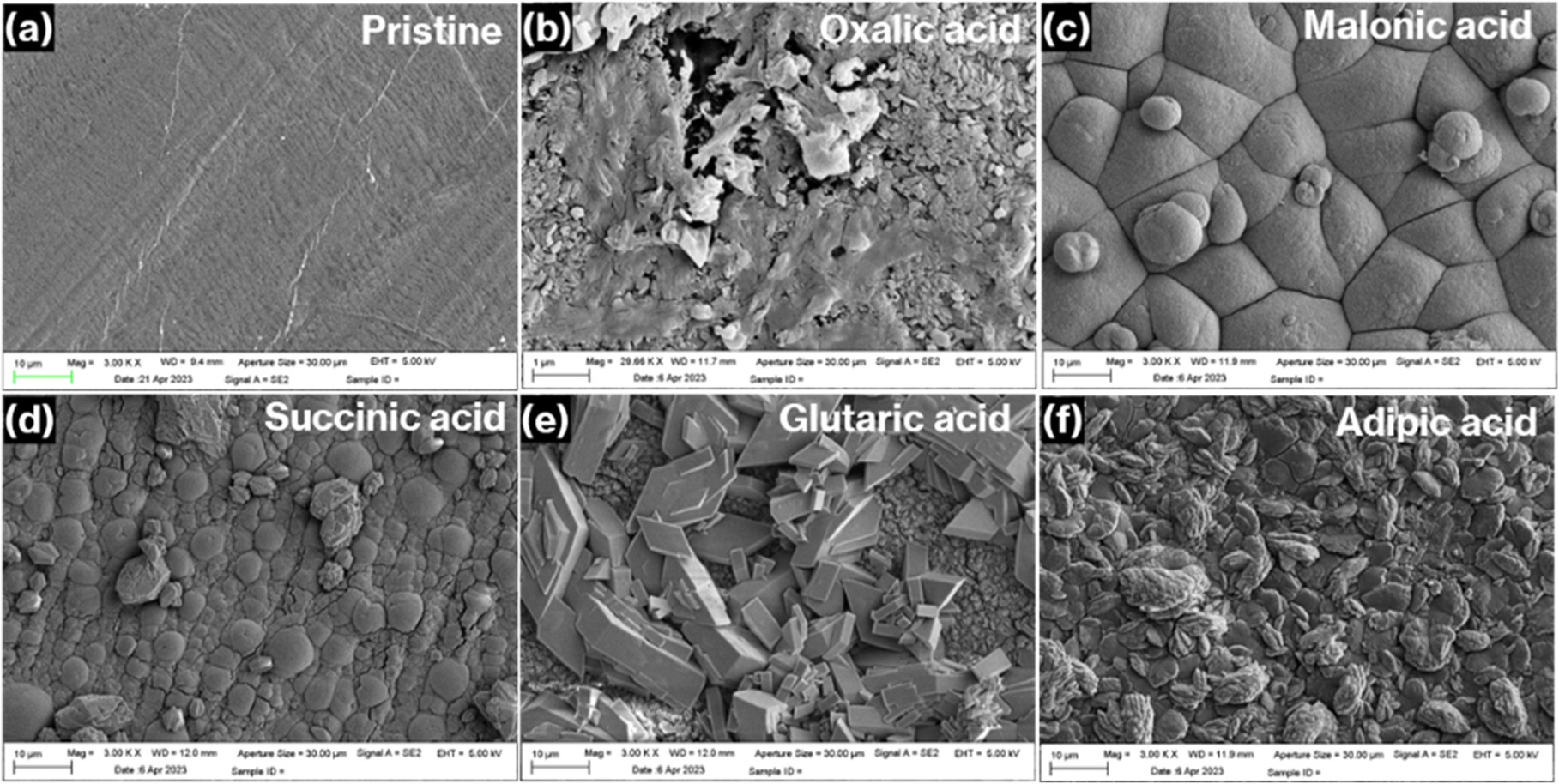 Altering the Solid Electrolyte Interface Through Surface-Modification of Lithium Metal Anode for ...