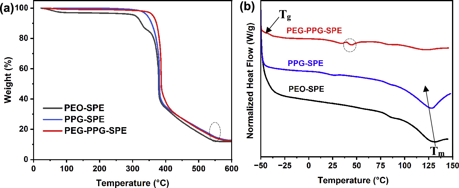 Tailored PEO/PEG-PPG Polymer Electrolyte for Solid-State Lithium-Ion ...