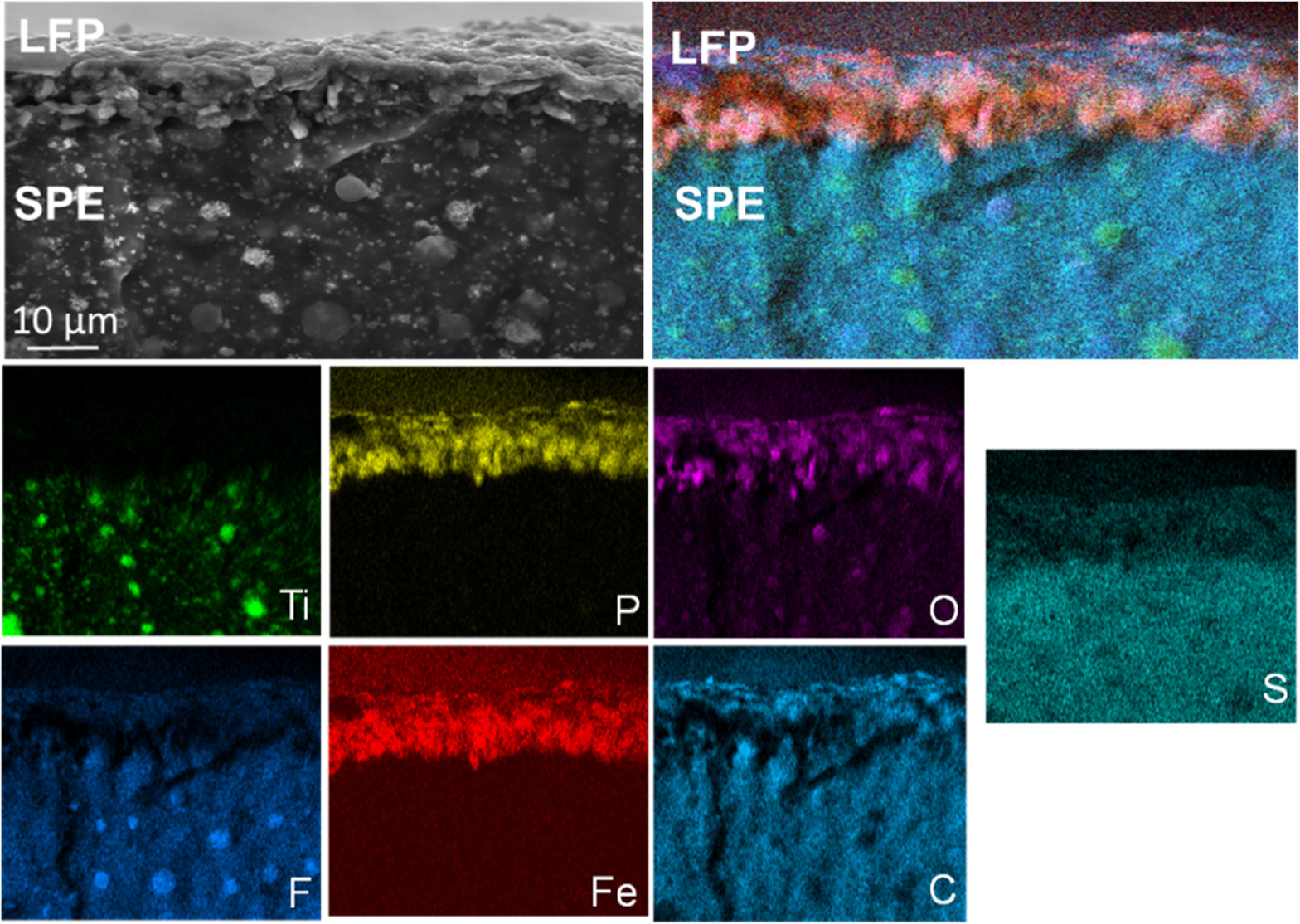 Tailored PEO/PEG-PPG Polymer Electrolyte for Solid-State Lithium-Ion ...