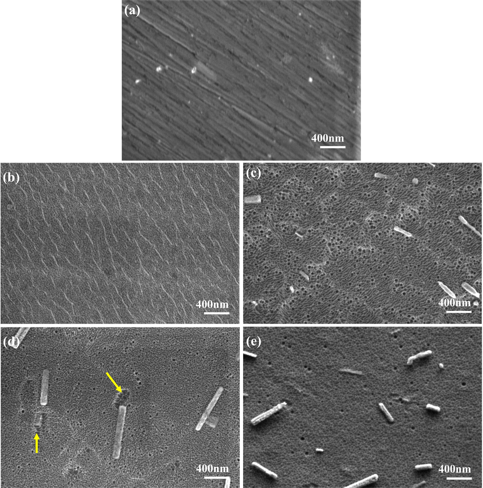 Effect of Alkaline Etching on Formation Behavior and Corrosion ...