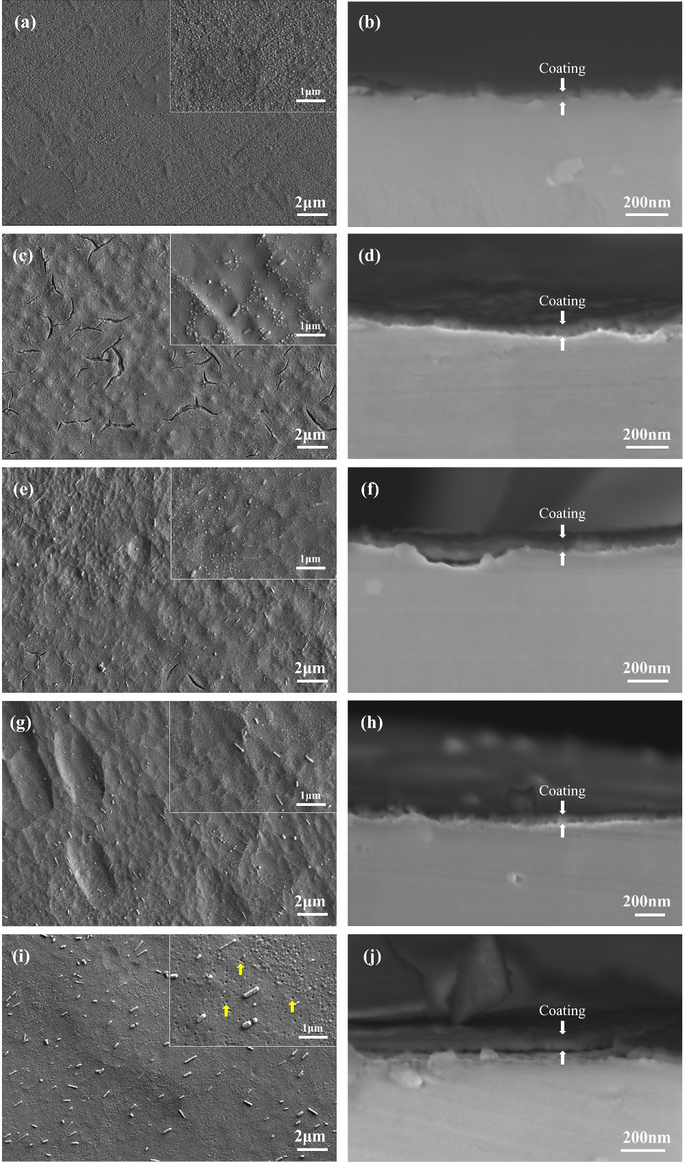 Effect of Alkaline Etching on Formation Behavior and Corrosion ...