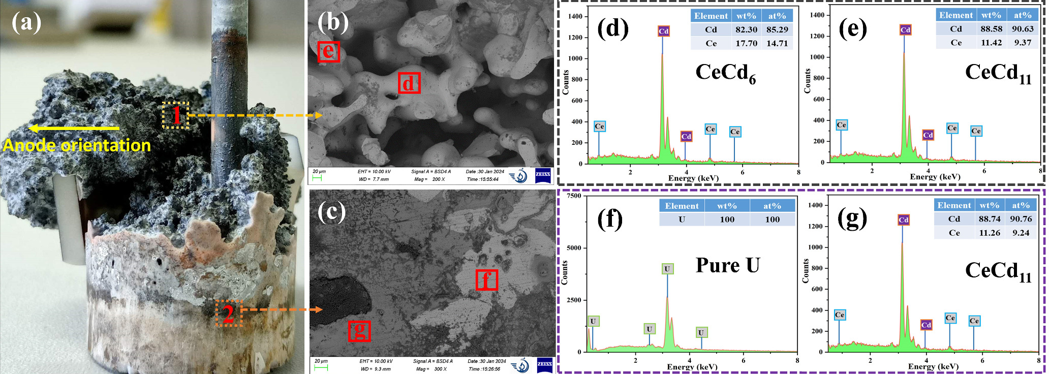 Electrochemical Drawdown of U3+ and Ce3+ in Molten LiCl-KCl Using a ...
