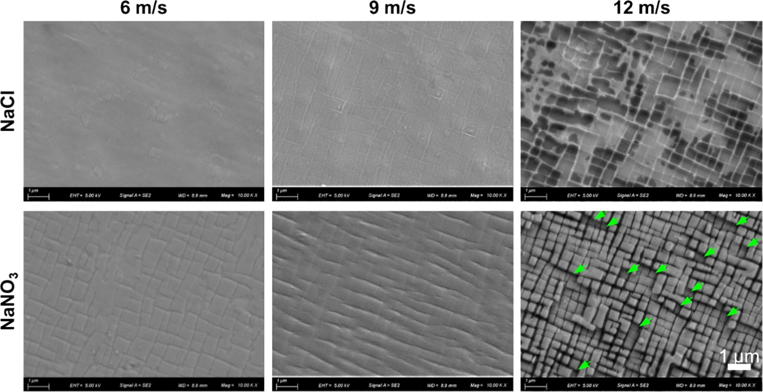 Anodic Dissolution Behavior of DD6 Nickel-Based Single Crystal ...