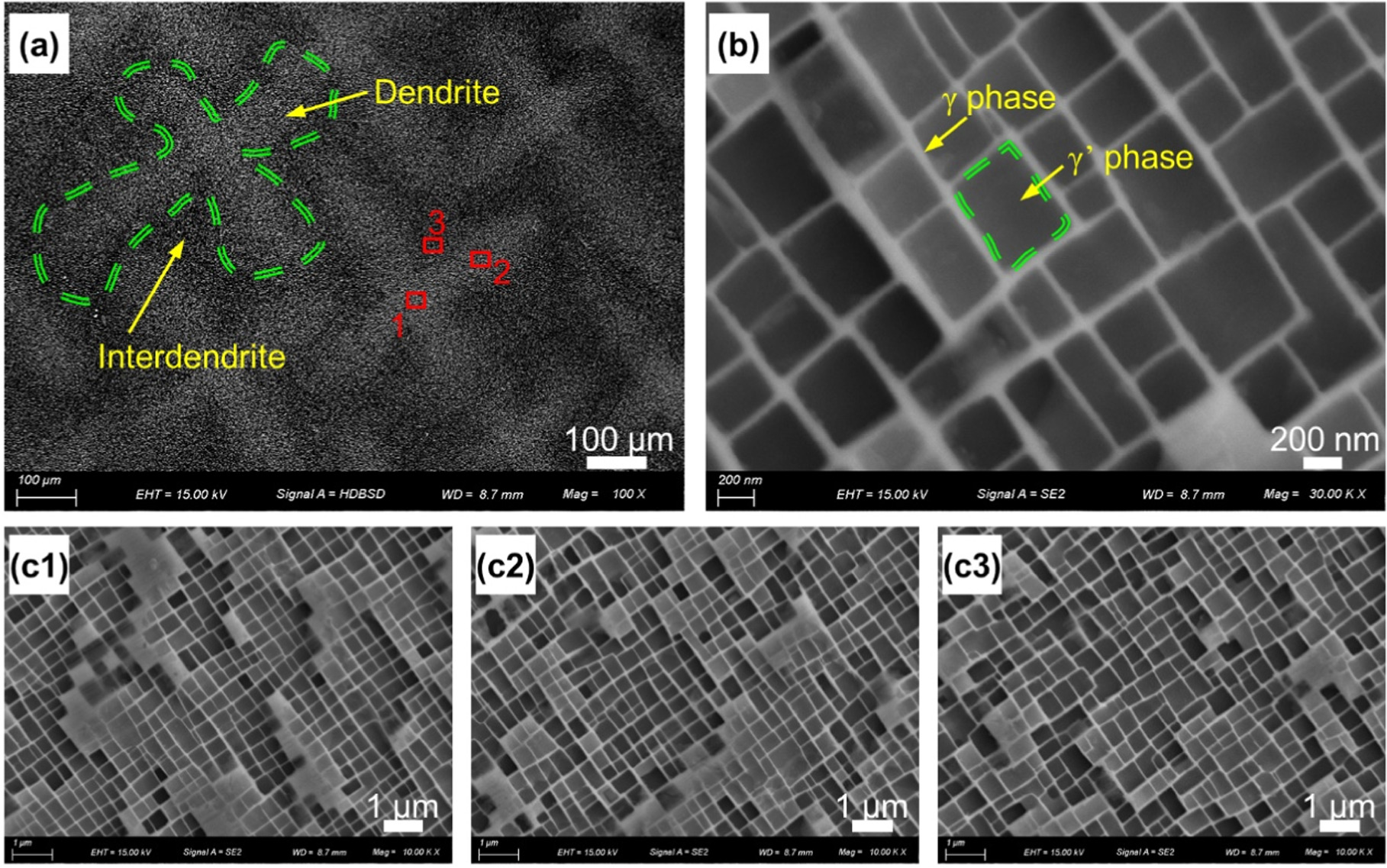 Anodic Dissolution Behavior of DD6 Nickel-Based Single Crystal ...