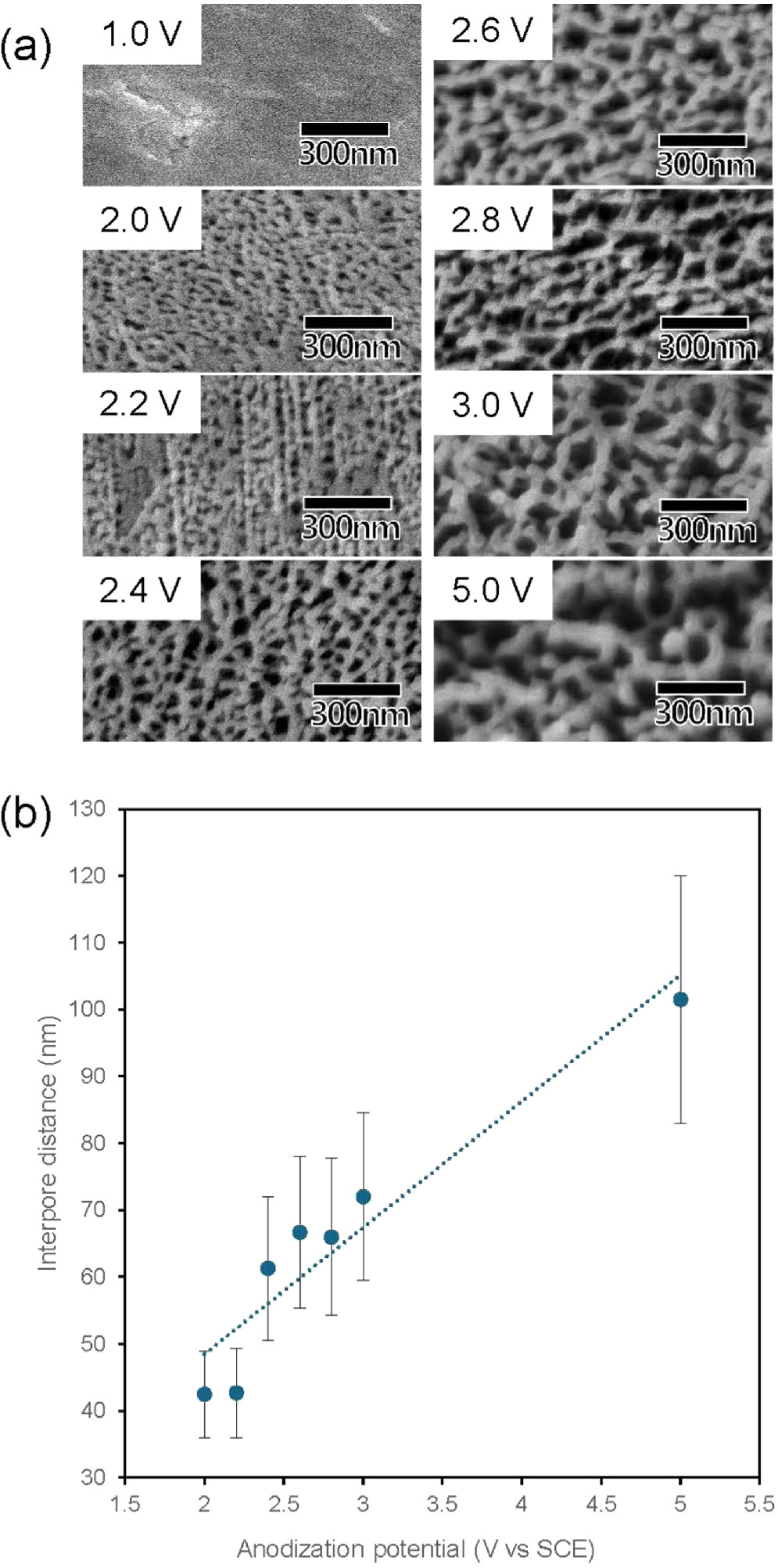 Fabrication of Ordered Nanohole Arrays by Anodization of Sn Substrates ...