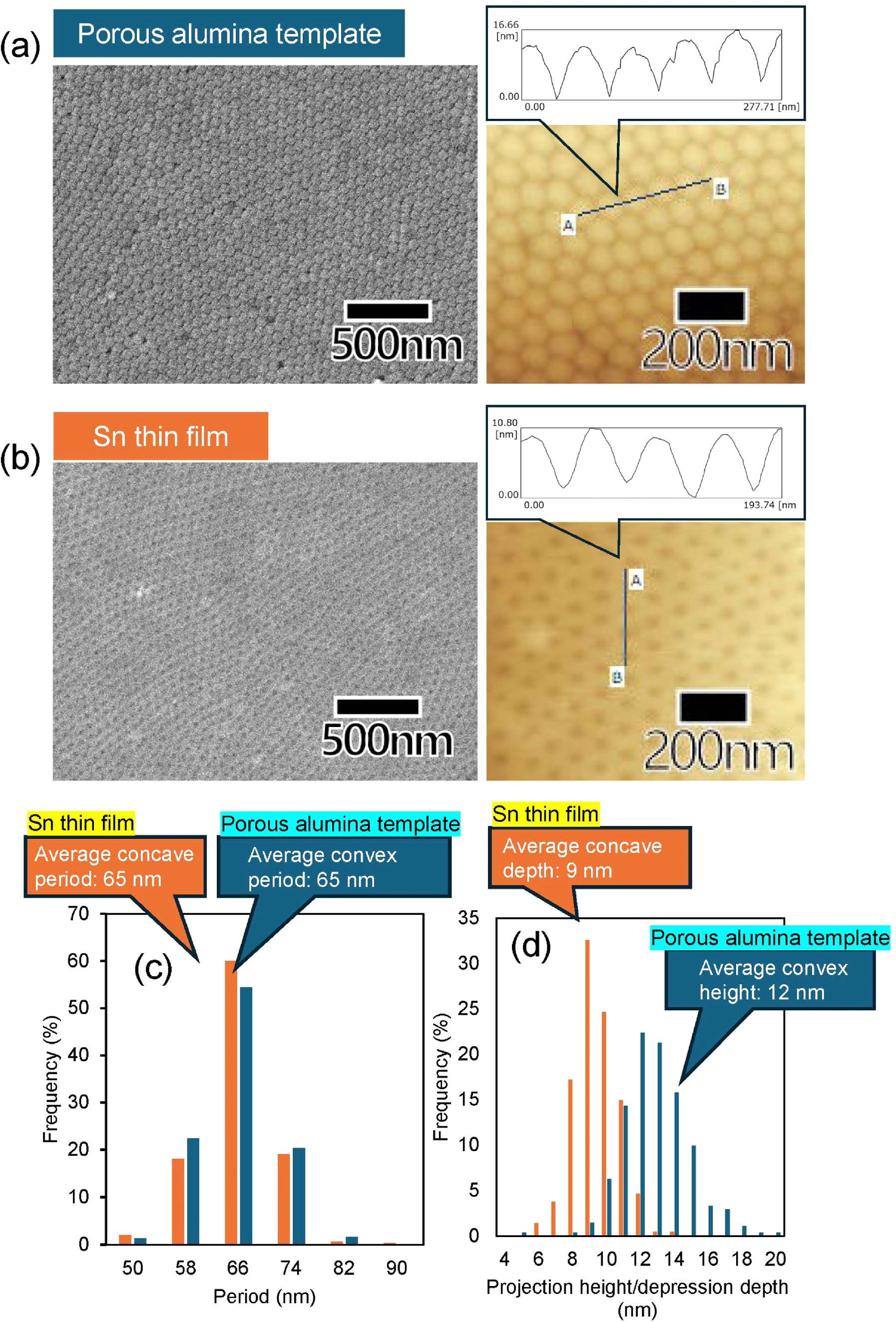 Fabrication of Ordered Nanohole Arrays by Anodization of Sn Substrates ...