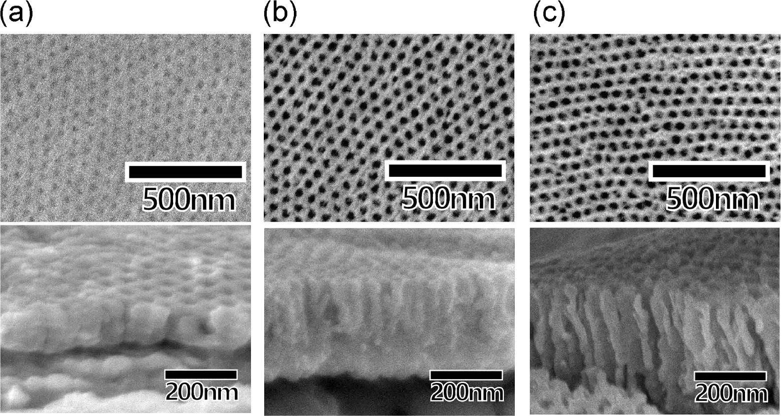 Fabrication of Ordered Nanohole Arrays by Anodization of Sn Substrates ...